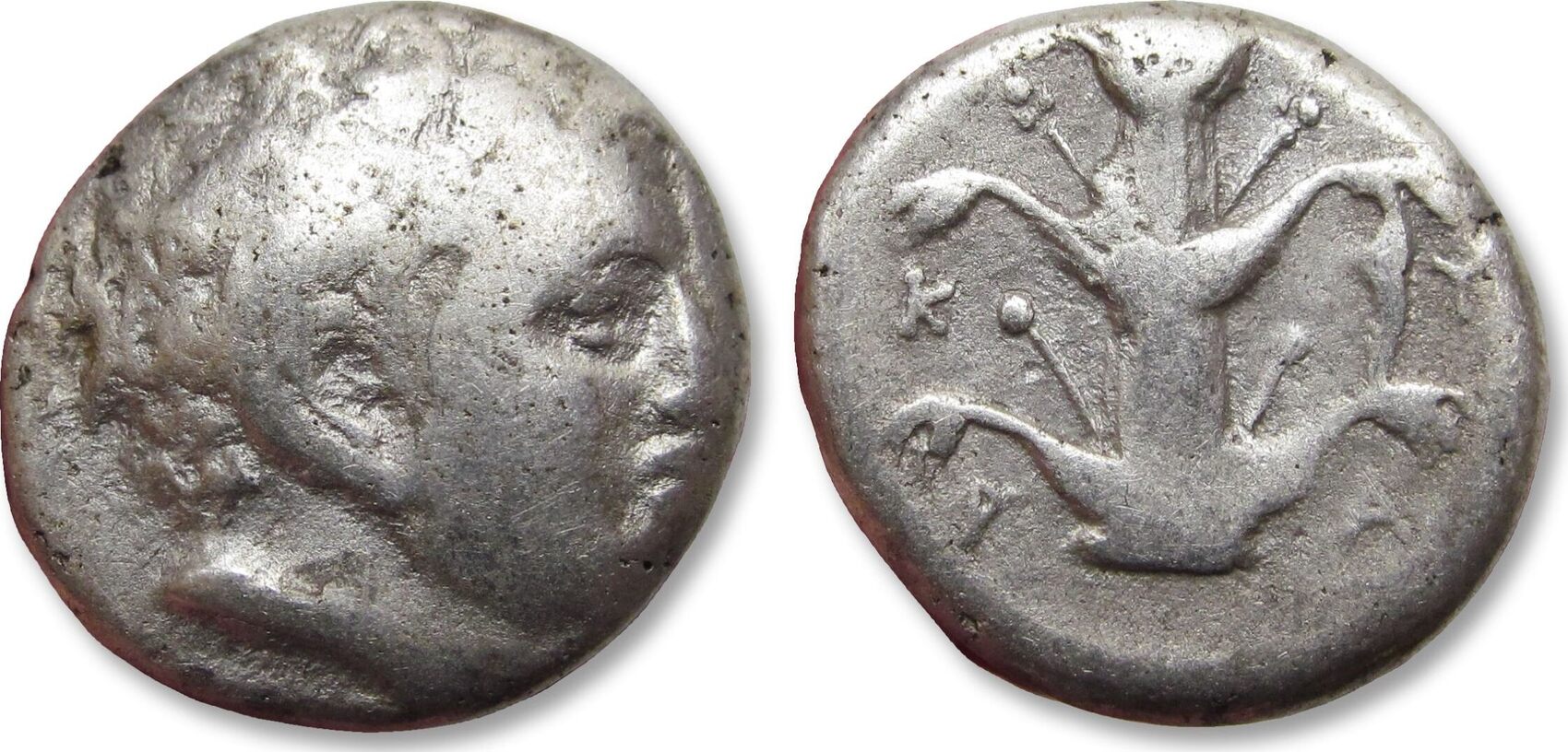 ANCIENT GREECE AR didrachm circa 294-275 B.C. KYRENAICA / Cyrenaica ...