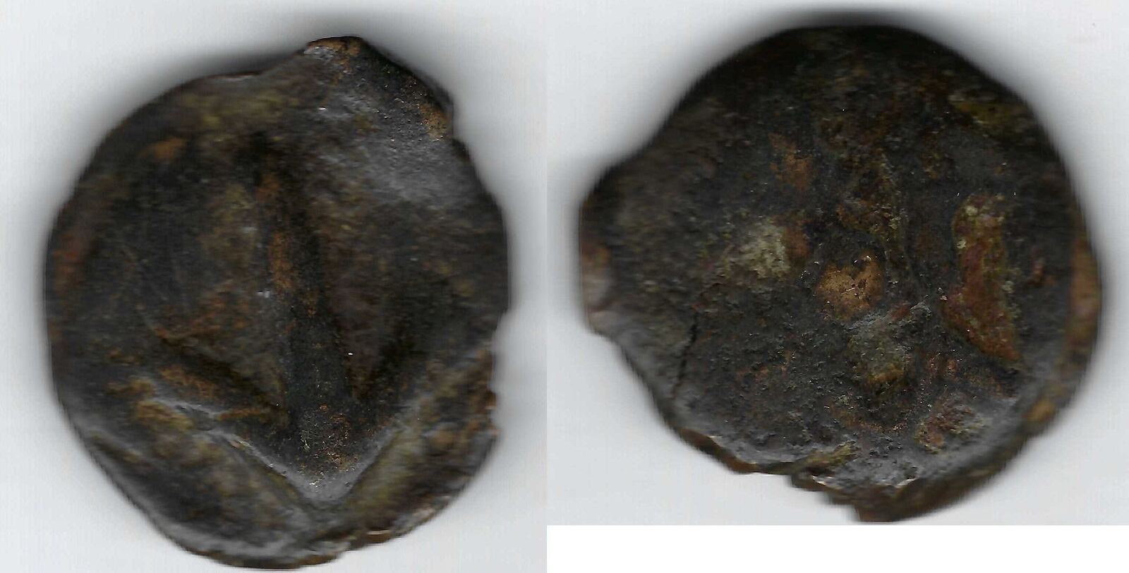 Picenum Once 275 - 225 Avant J.C. Hatria B / TB | MA-Shops