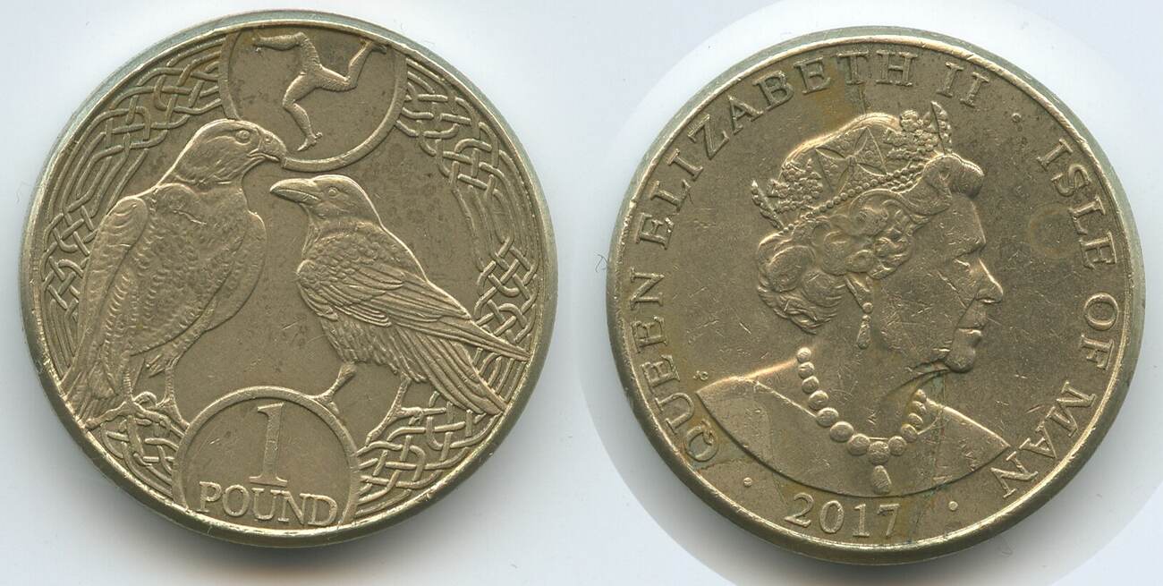Insel Man Isle of Man 1 Pound 2017 G9987 - Peregrine Falcon and a Raven ...