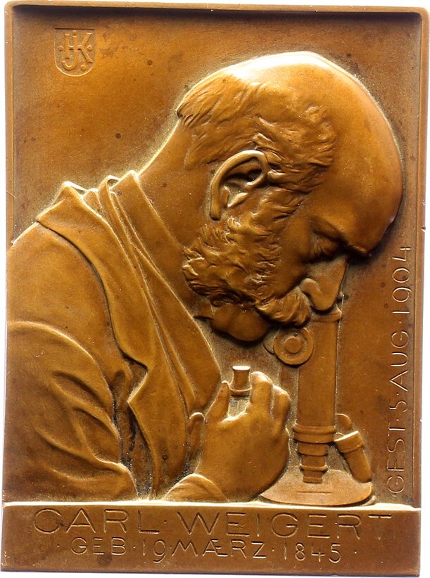 Medicina in nummis Einseitige Bronzeplakette Weigert, Carl *1845 ...