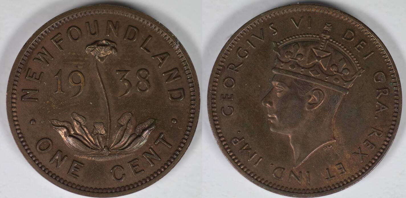 NewFoundland Cent 1938 George VI EF | MA-Shops
