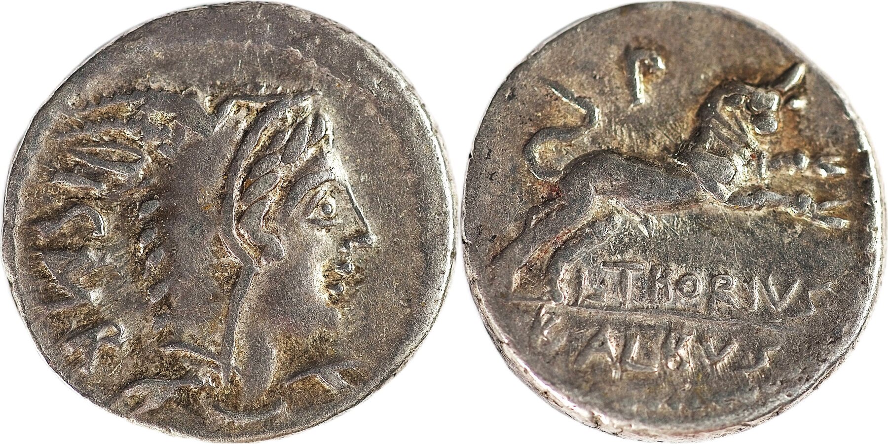 Roman Republic Denarius 105 BC L. Thorius Balbus - Rome - Juno Sospita ...