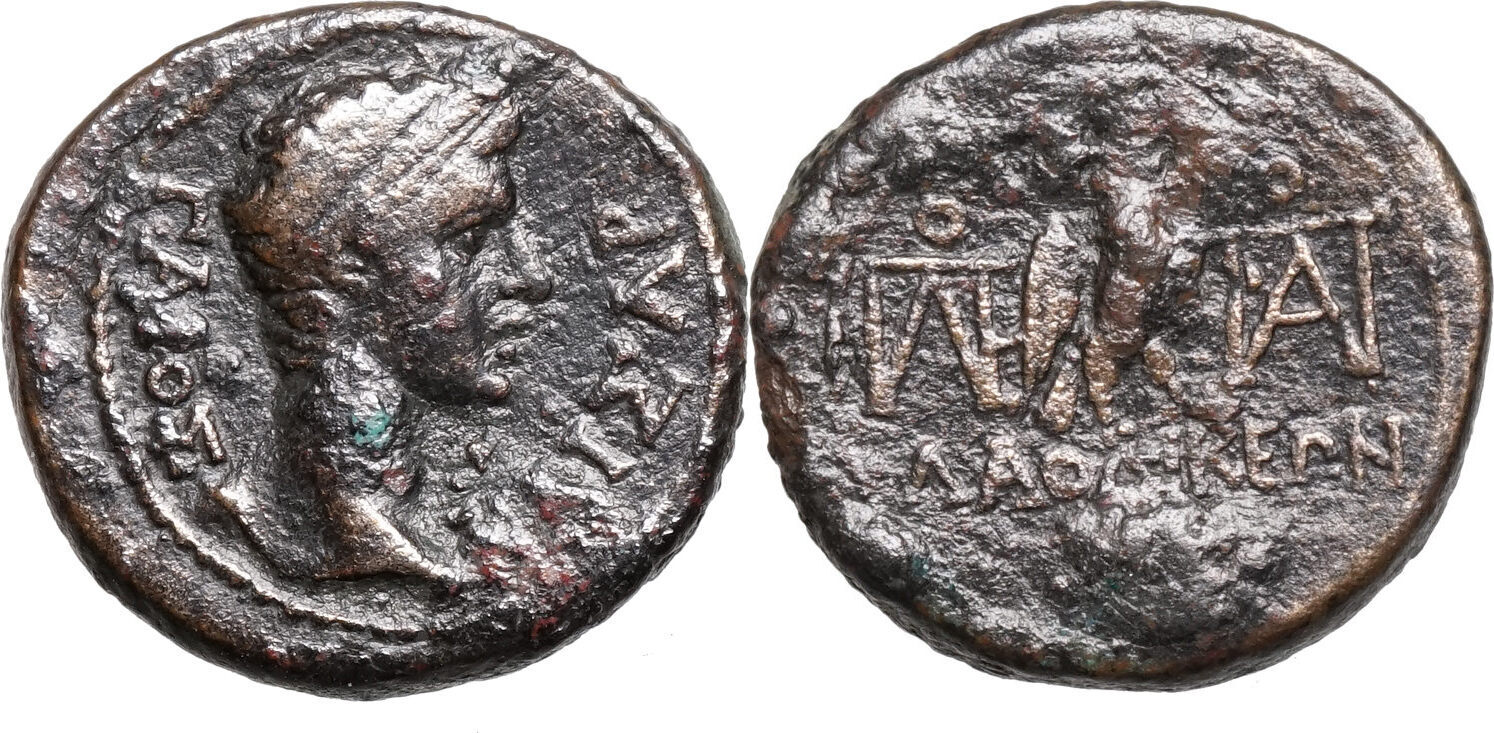 GAIUS Caesar, Adoptivsohn des Augustus AE-Dichalkon ~ 5 BCE Antonios ...