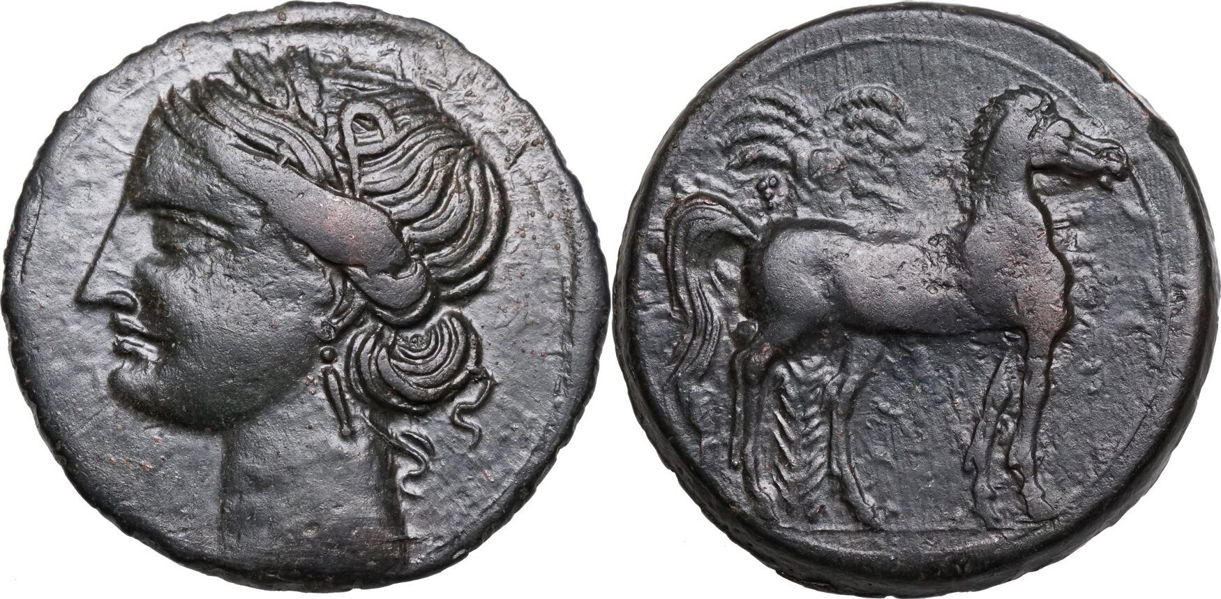 KARTHAGO, Zeugitania AE Trishekel (~221-210 BCE) Tanit / Pferd, Palme ...