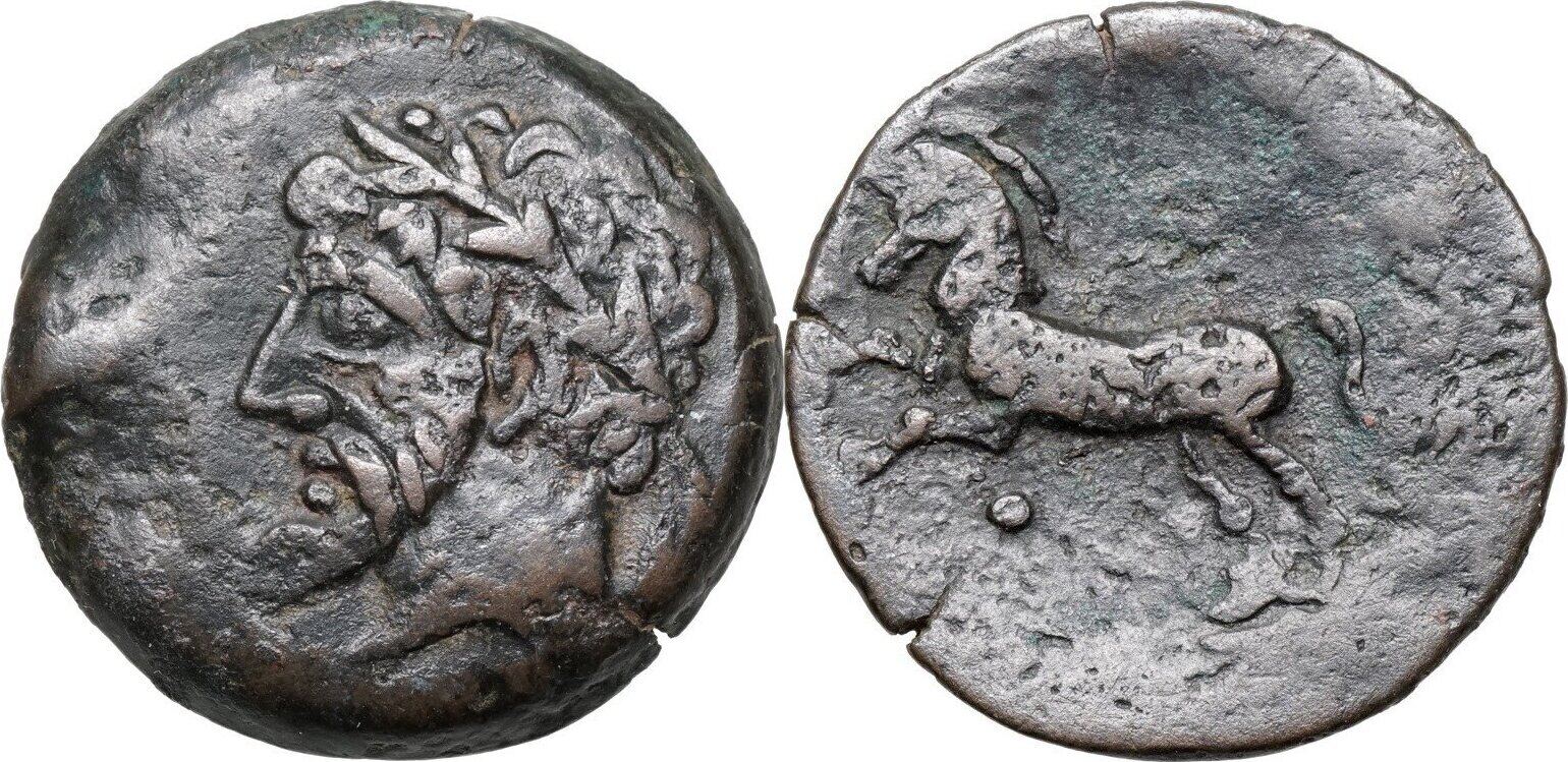 Numidien. Massinissa oder Micipsa AE (203-148/148-118 BCE) f. ss | MA-Shops