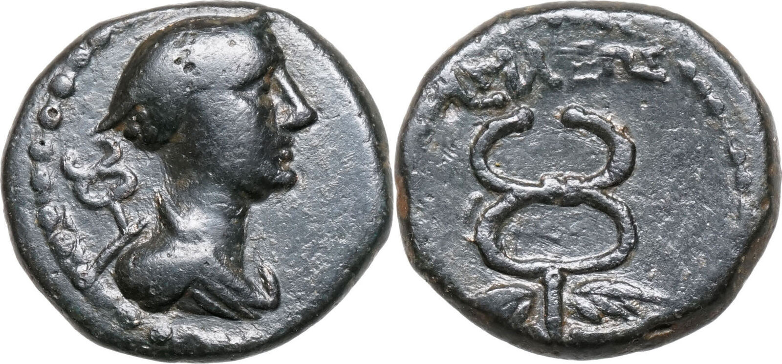 Galatien, AMYNTAS (39-25 BCE) AE HERMES, Caduceus ss | MA-Shops