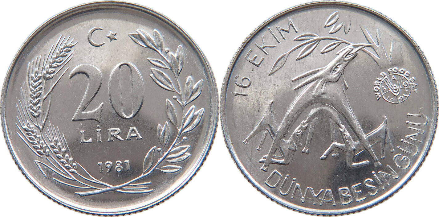 TURKEY 20 LIRA 1981 UNC | MA-Shops