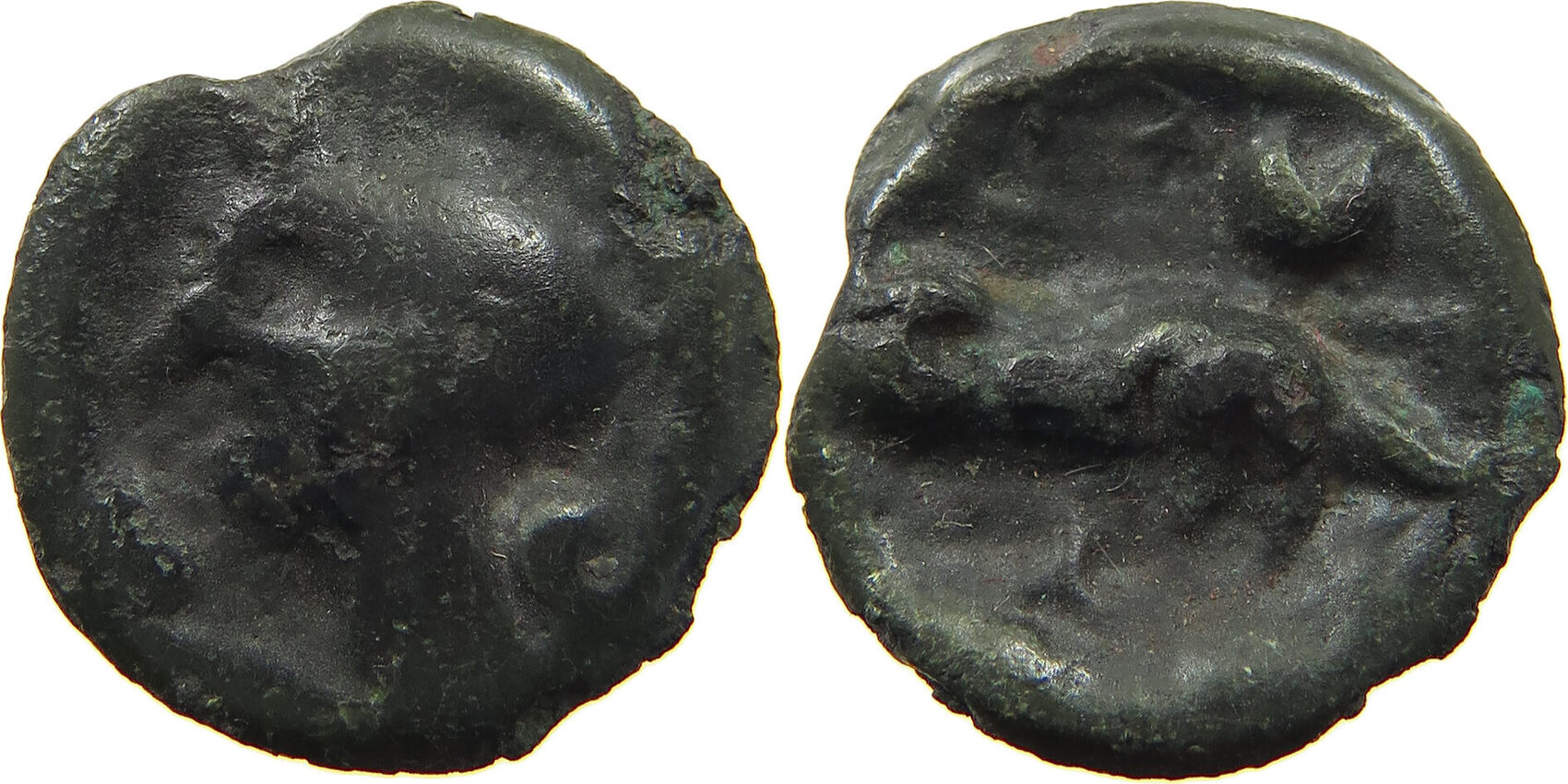 CELTIC AE POTIN S | MA-Shops