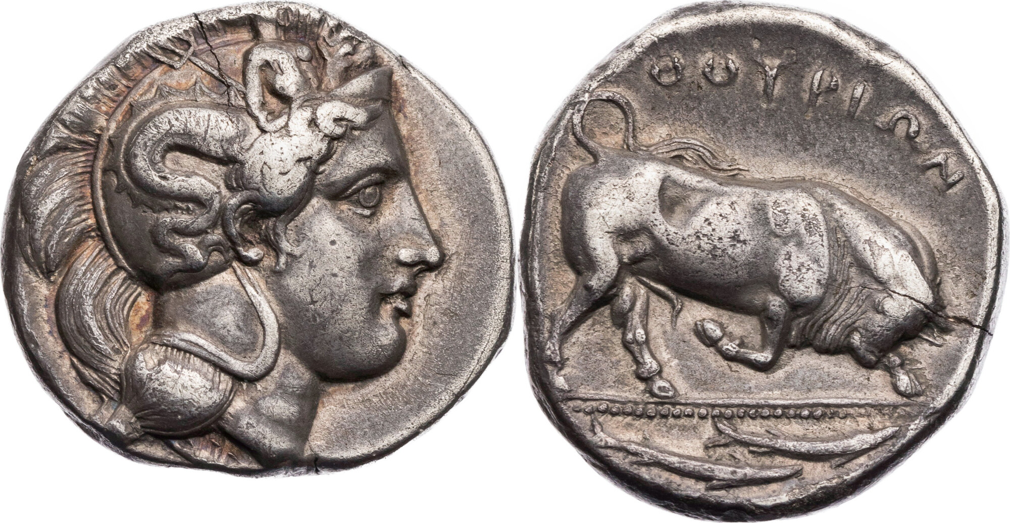 Lukanien Distater/Dinomos 350-300 v. Chr. Thourioi, Kopf der Athena ...