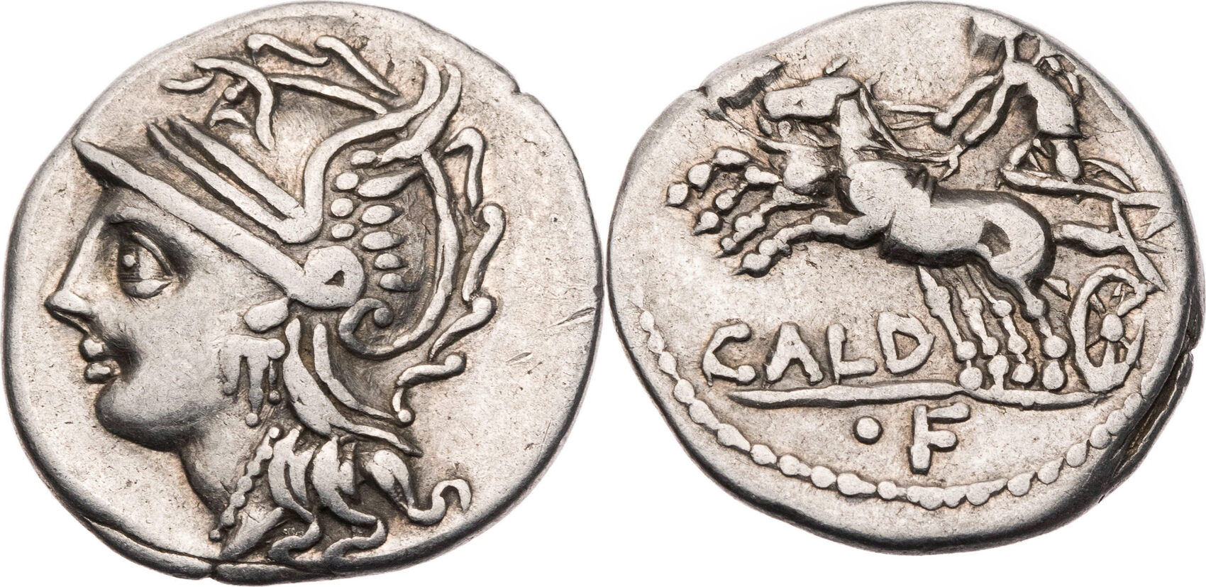 Römische Republik Denar 104 v. Chr. C. Coelius Caldus, Kopf der Roma ...