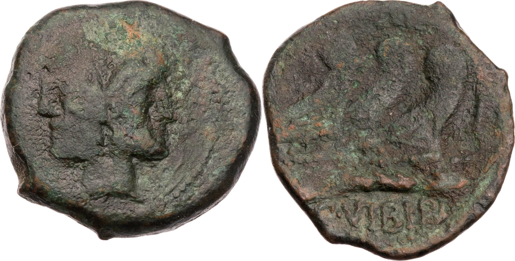 Römische Republik As 90 v. Chr. C. Vibius C. f. Pansa, Januskopf / gestaffelte Proren s+ | MA-Shops