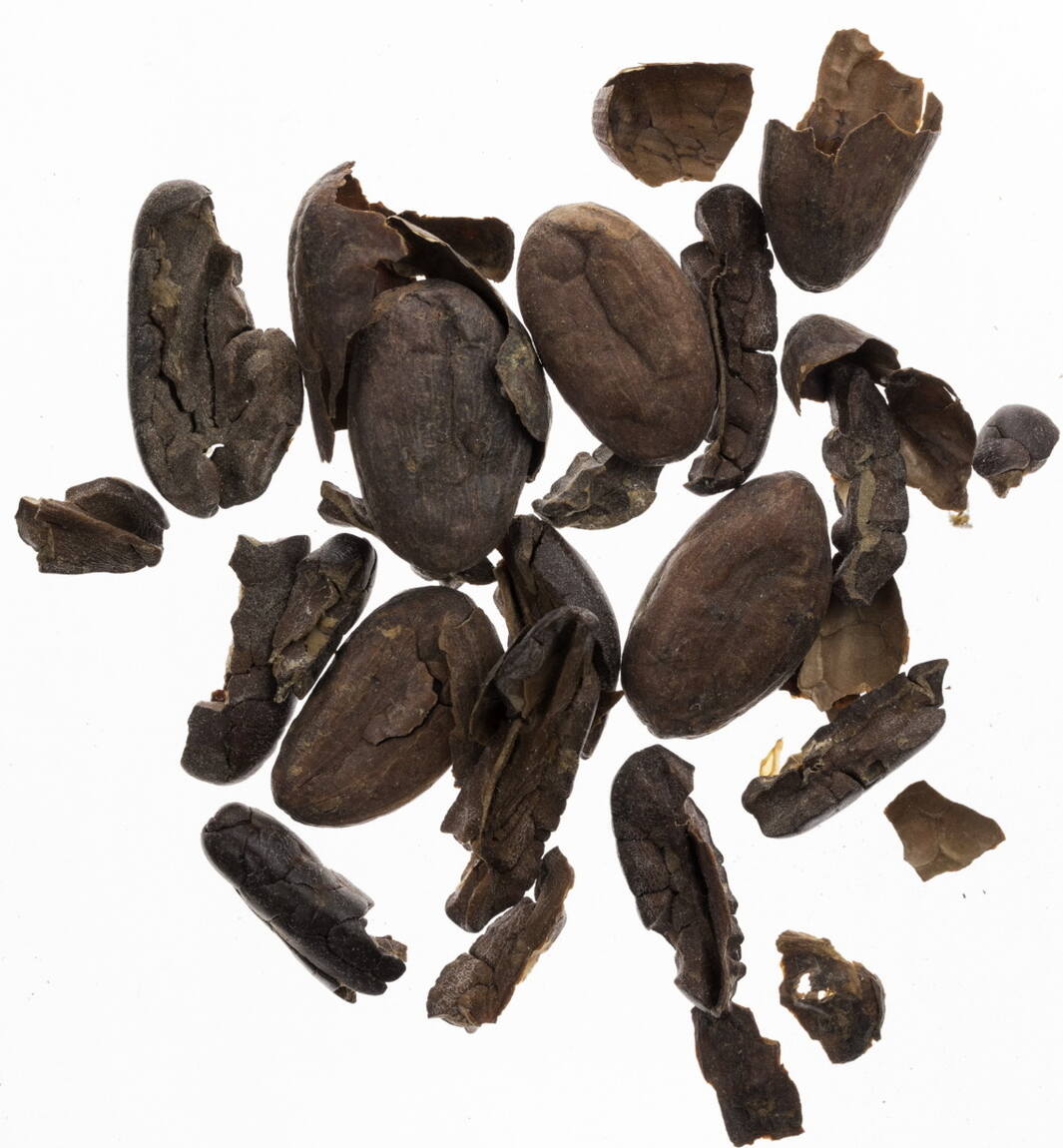 Nicaragua, Maya Kakaobohnen o.J. Naturalgeld der Maya s-ss | MA-Shops