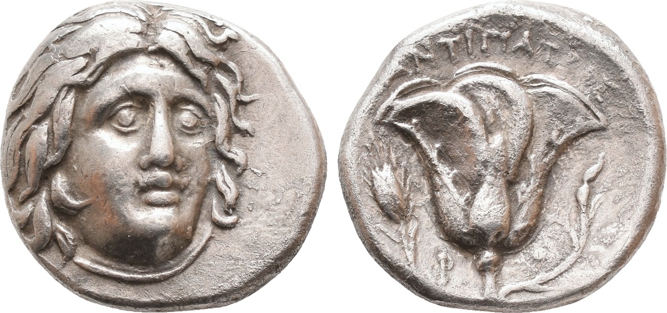 Rhodos Didrachme 275-250 v. Chr. Magistrat Antipatros ss | MA-Shops