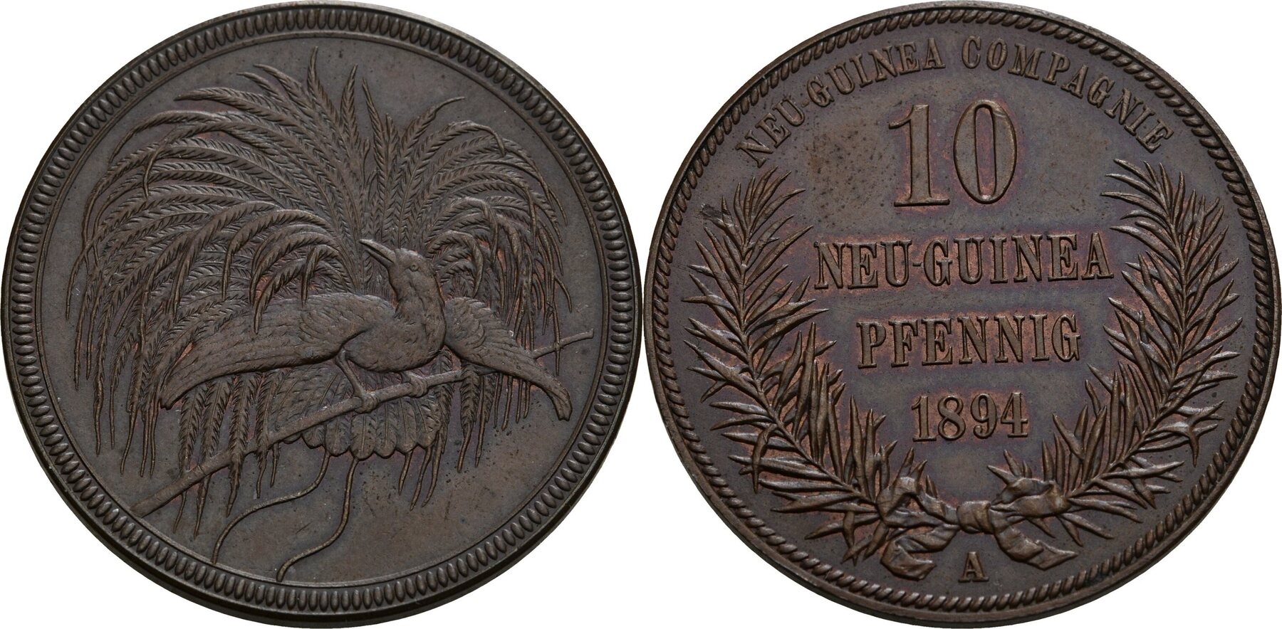 Deutsch Neuguinea 10 Neuguinea Pfennig A, Berlin 1894 vz/vz+, Rs. min. Auflagen | MA-Shops