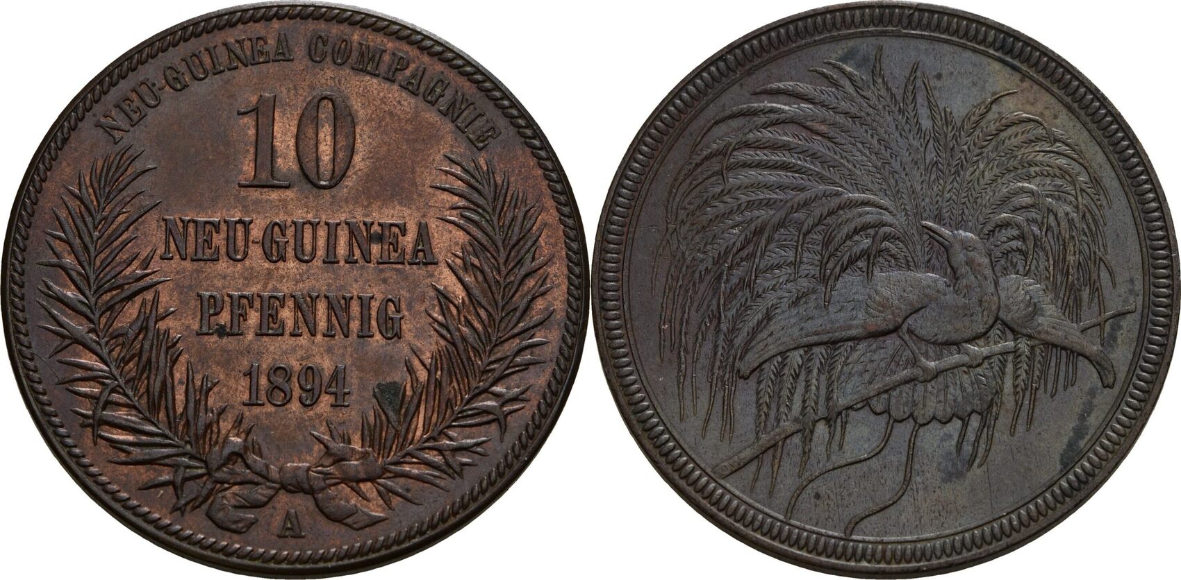 Deutsch Neu-Guinea 10 Neu-Guinea Pfennig A, Berlin 1894 fast vz/vz, winz. Kratzer | MA-Shops