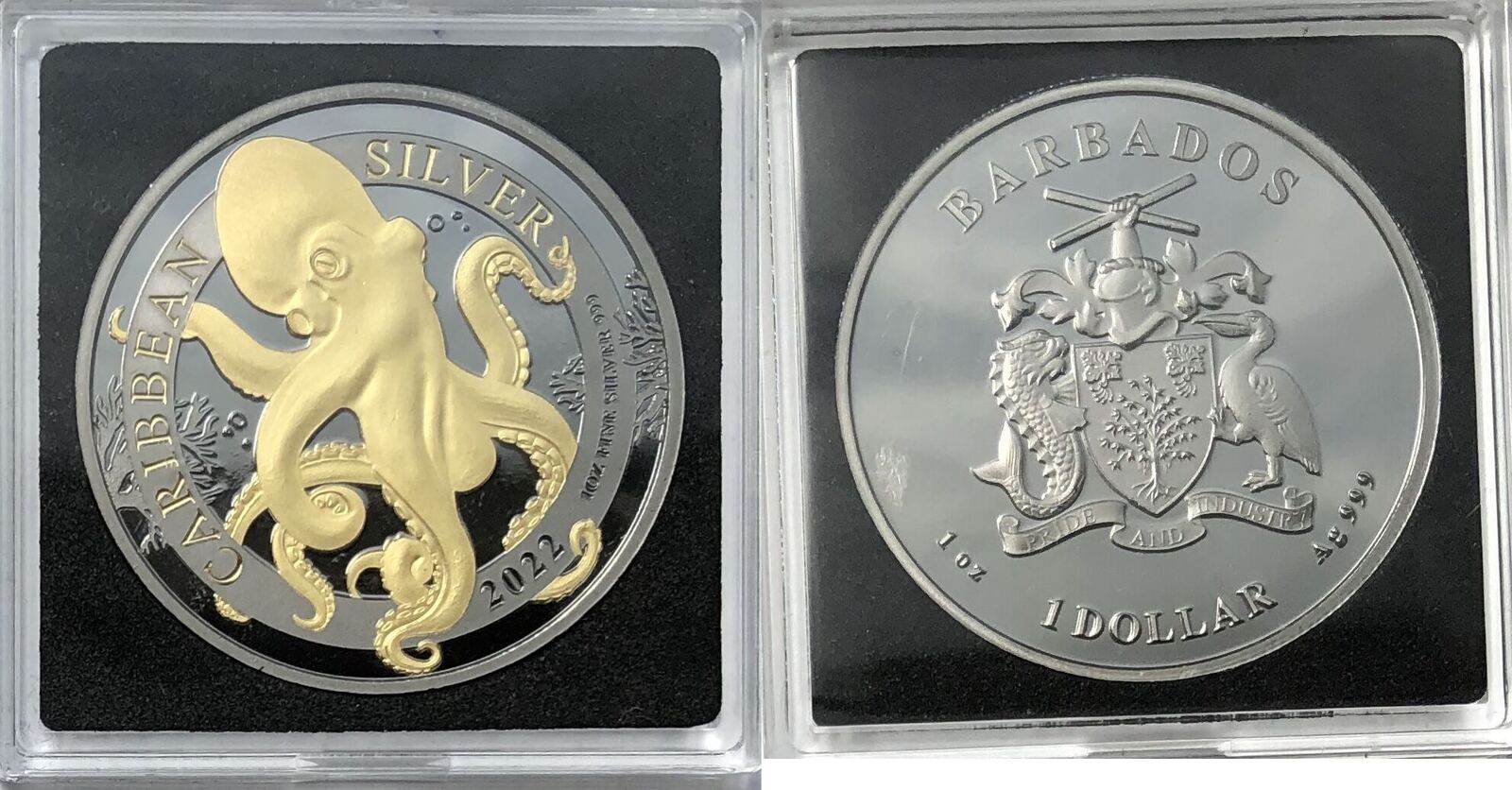 Barbados 1 Dollar 2022 Karibischer Octopus st in Kapsel | MA-Shops