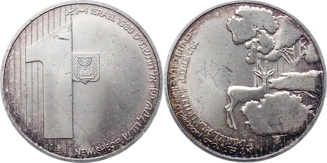 Israel 1 Neuer Schekel Sheqel 1989 Vorzüglich - Stempelglanz | MA-Shops