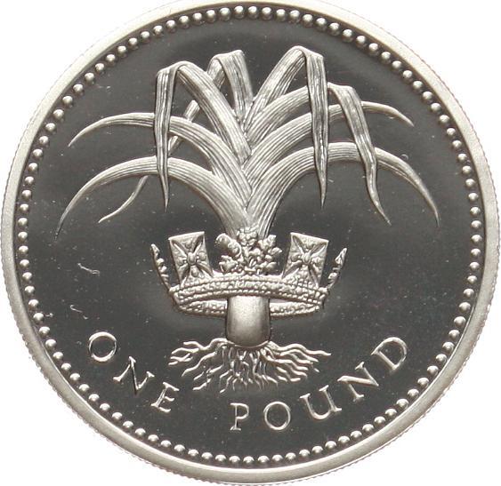 Großbritannien One Pound 1985 Elisabeth II. pp | MA-Shops