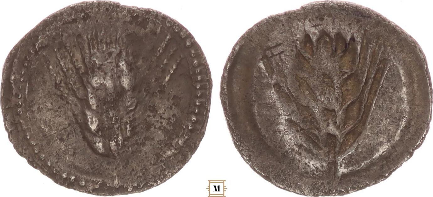Greek obol ca. 540-510 Lucania, Metapontion, Barley Bar / Incuse | MA-Shops