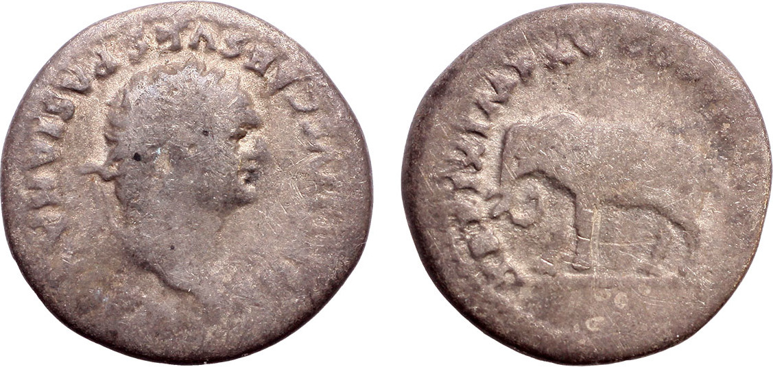 Roman Empire denar 79-81 Titus, Elephant | MA-Shops