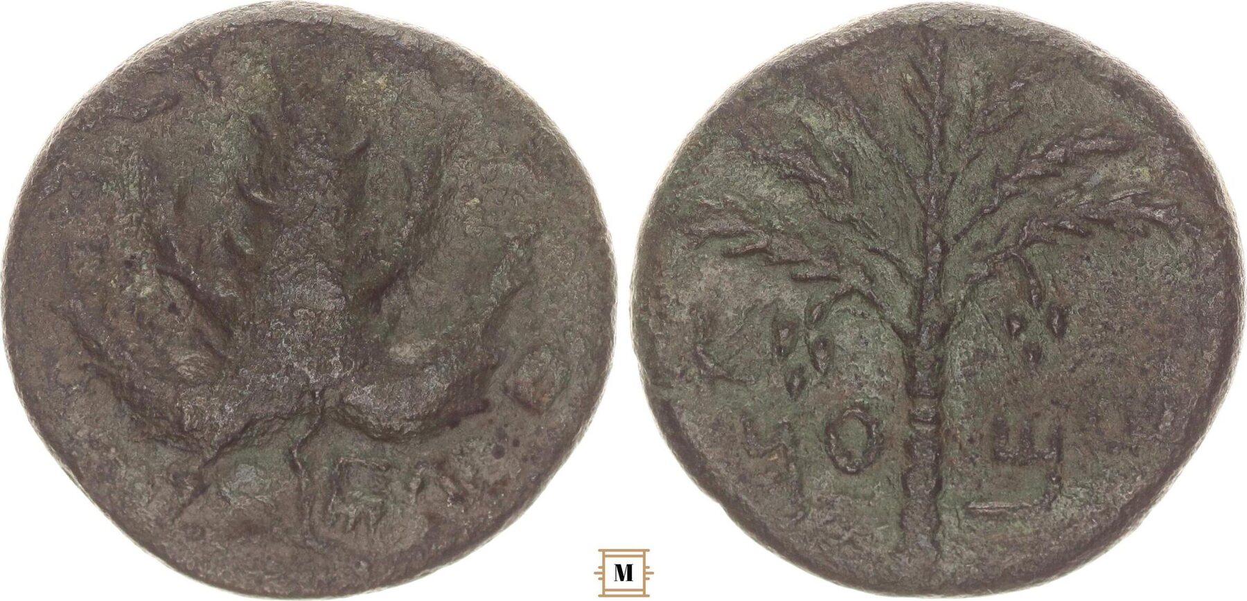 Judaea AE 23mm 132-135 Bar Kokhba Revolt, Grape leaf / Palm tree | MA-Shops