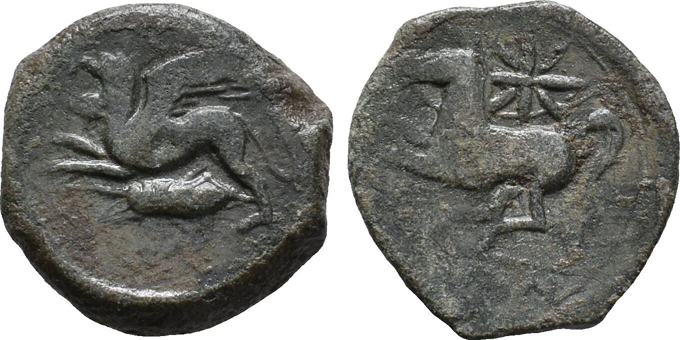 Sicily, Kainon, c. 360-340 BC. Æ VF | MA-Shops