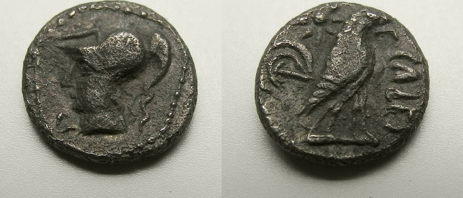 CELTIC WORLD Obol Celts in Central Europe. Boii,'Cales'Type,RRR! ss ...