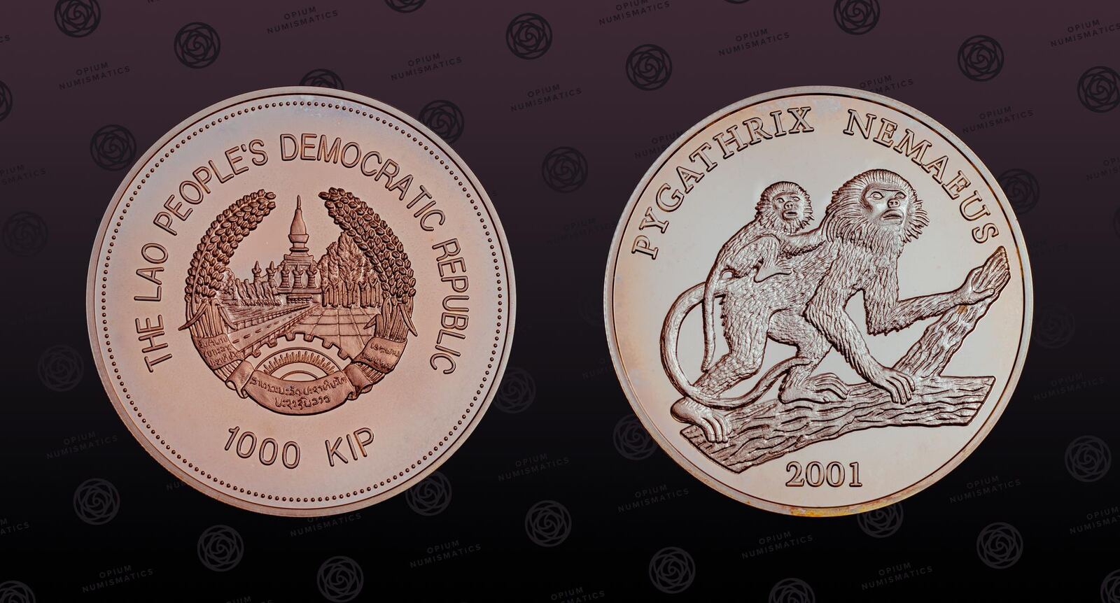 LAOS, Unlisted, Silver, 1000 Kip, 2001, Proof, Pygathrix Nemarus. Coin ...