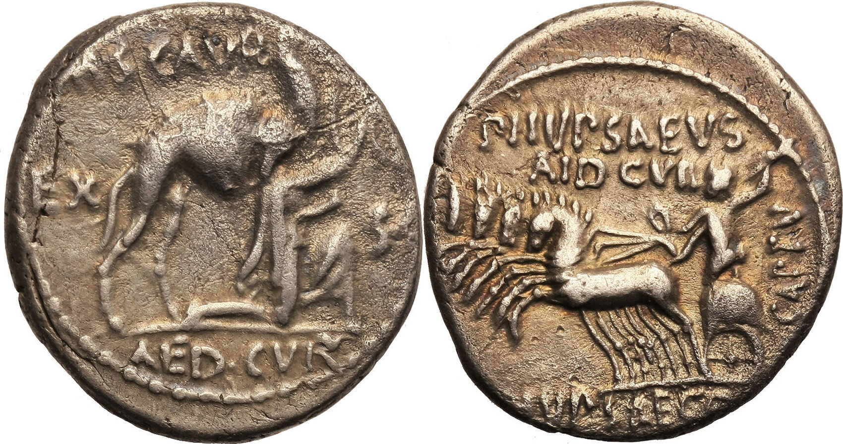 The Roman Republic AR Denarius 58 BC M. Aemilius Scaurus and P ...