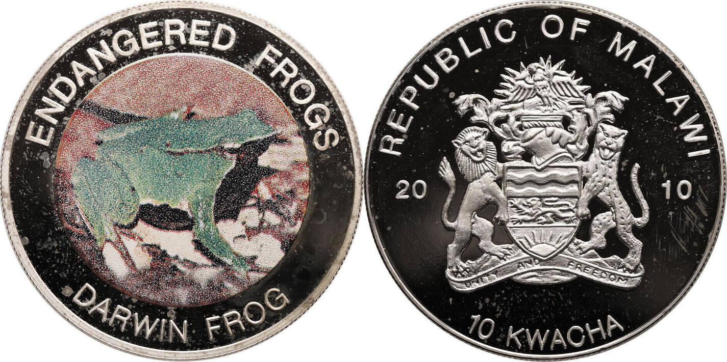 Malawi 10 Kwacha 2010 Multicolor Darwin Frog PP | MA-Shops