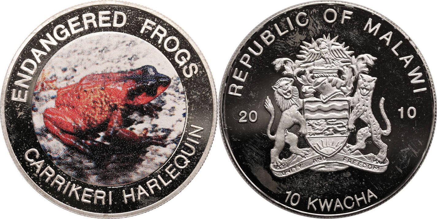 Malawi 10 Kwacha 2010 Multicolor Carrikeri Harlequin Frog PP | MA-Shops