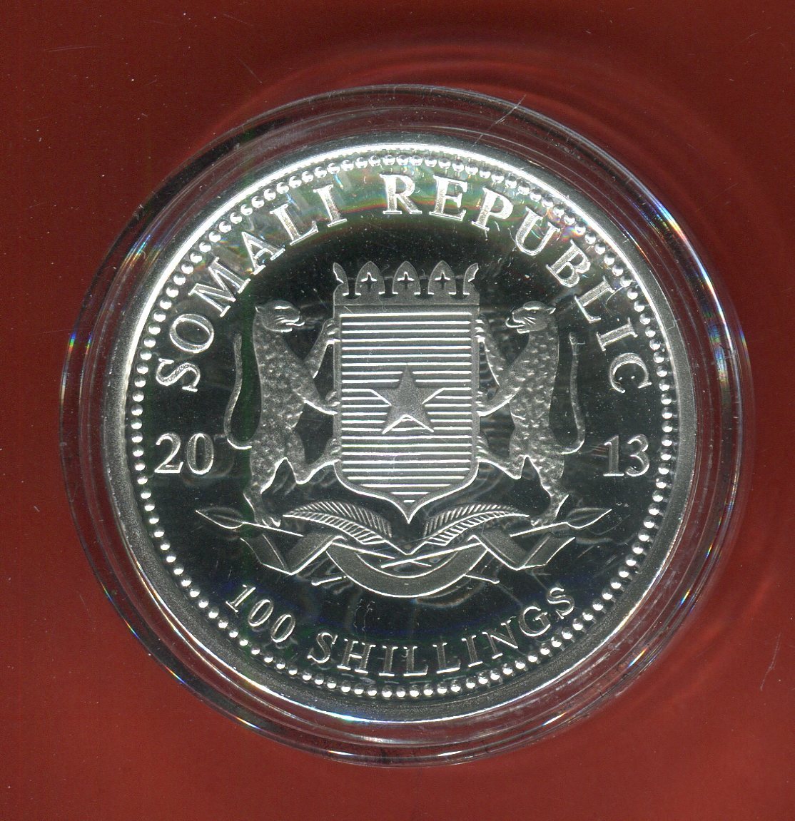 Somalia 100 Shillings Silbermünze - 1 oz Ag 999 2013 African Wildlife ...