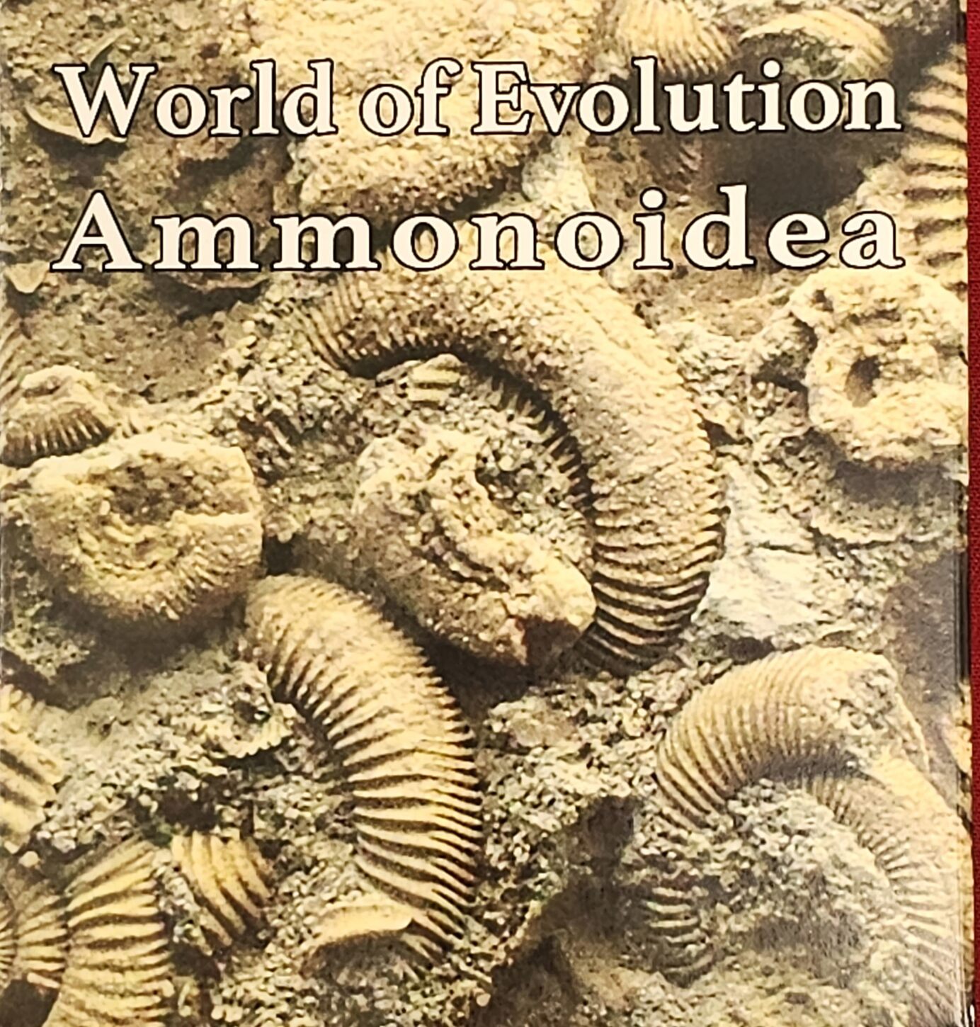 Burkina Faso 1000 Francs CFA 2016 World of Evolution Ammonidea with ...