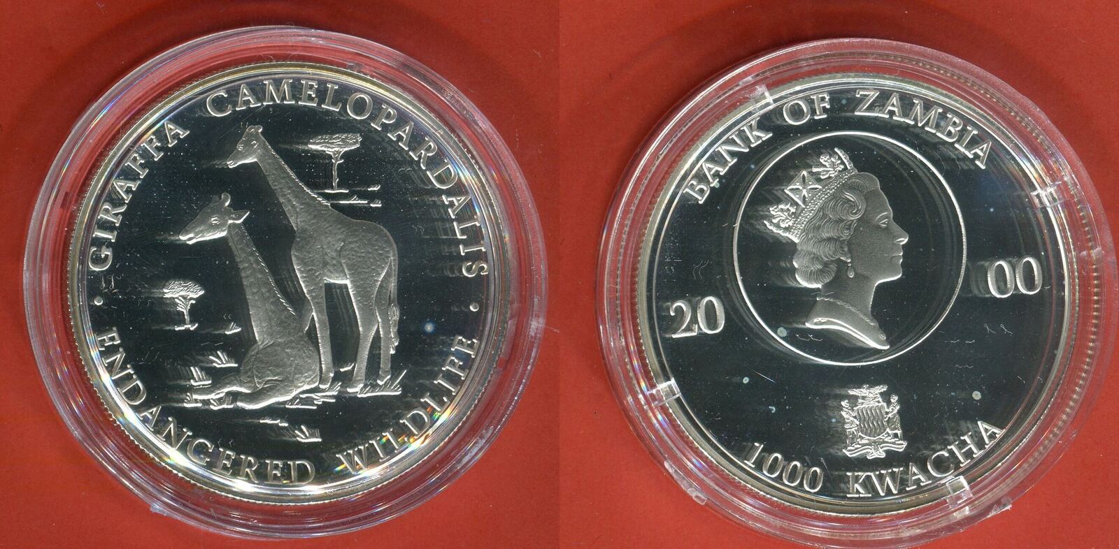Zambia 1000 Kwacha 2000 Gefährdete Tierwelt - Giraffe PP in Kapsel mit ...