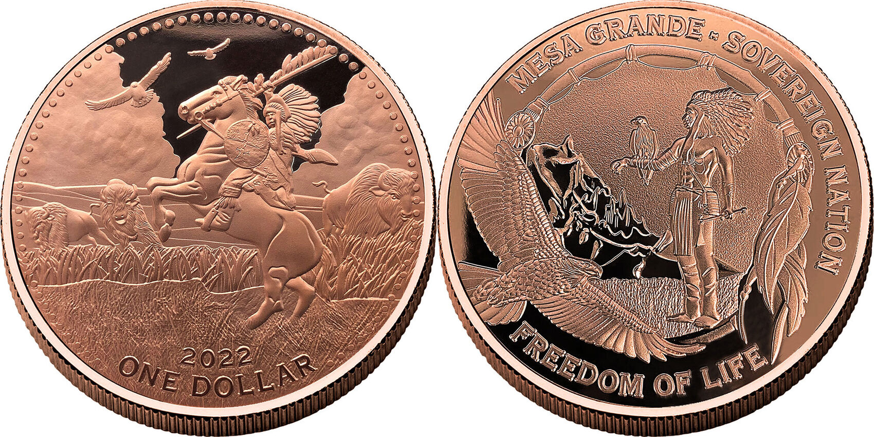 United States 1 Dollar BISON HUNTER Freedom of Life 5 Oz Copper Coin 1 ...