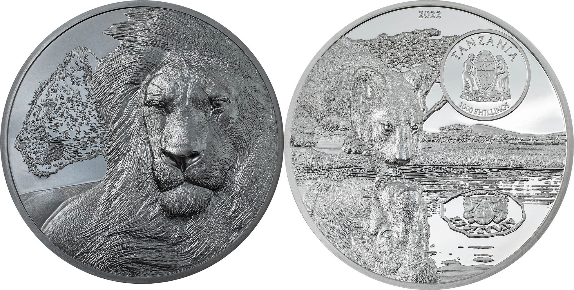LIONS Growing Up 5 Oz Silver Coin 3000 Shillings Tanzania 2022 Black PP ...