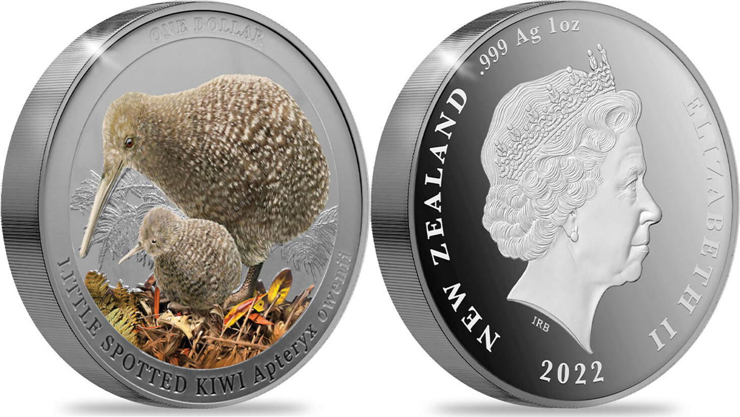 1 Dollar KIWI Colored 1 Oz Silver Coin 1$ New Zealand 2022 PP | MA-Shops