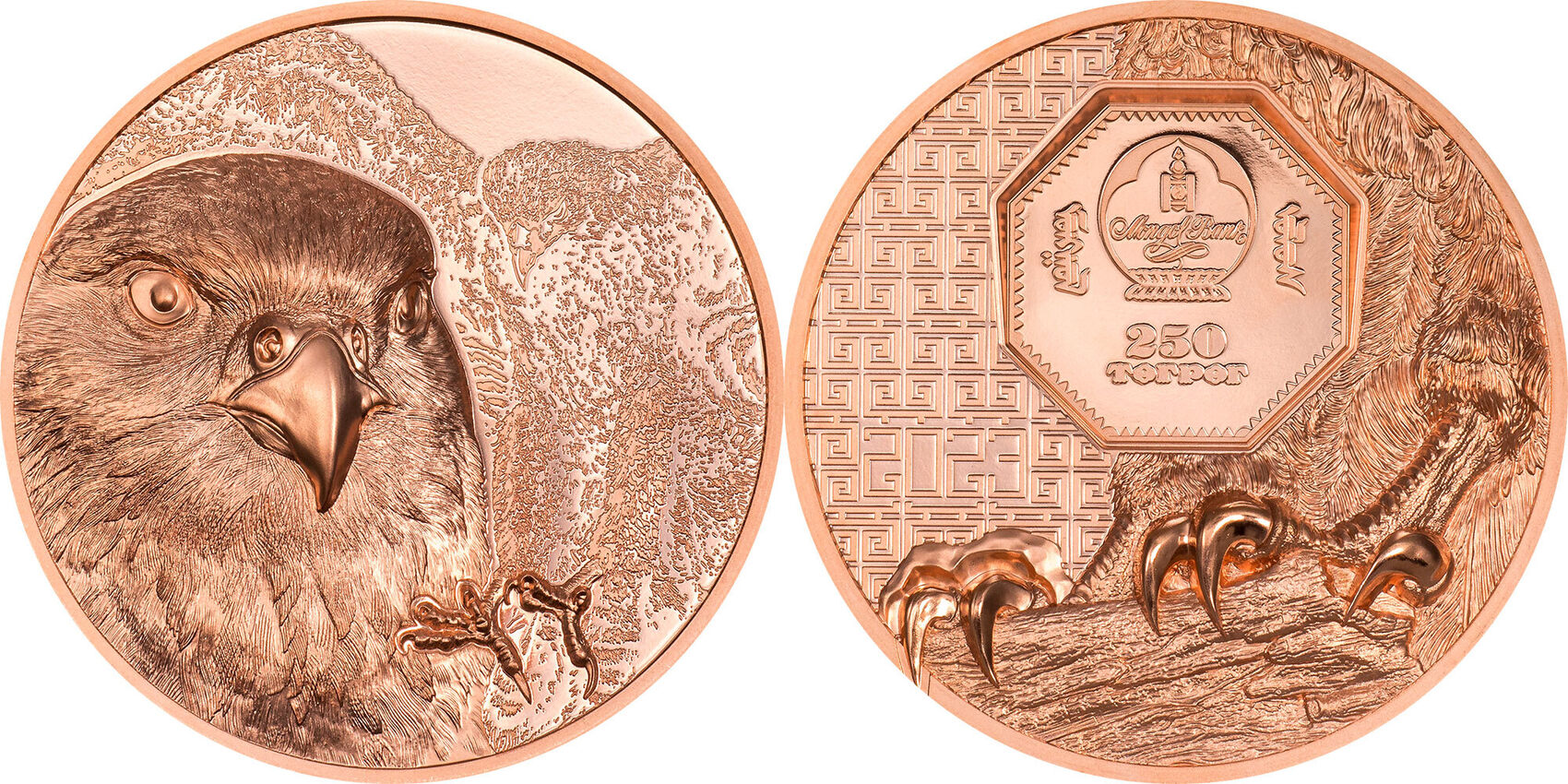250 Togrog FALCON Wild Mongolia Copper Coin 1000 Togrog Mongolia 2023 ...