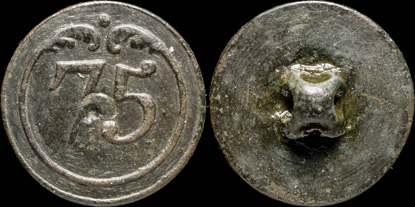 Roman Empire Button 75 st line Infantry French army, Napoleonic wars ...