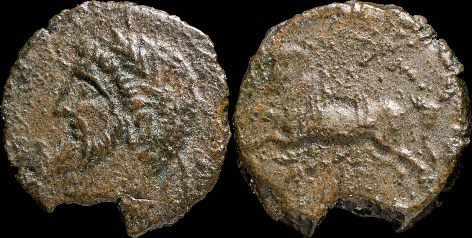 GREEK Kings of Numidia Ae 26, Massinissa - Micipsa (203-118 BC) - 26 mm ...