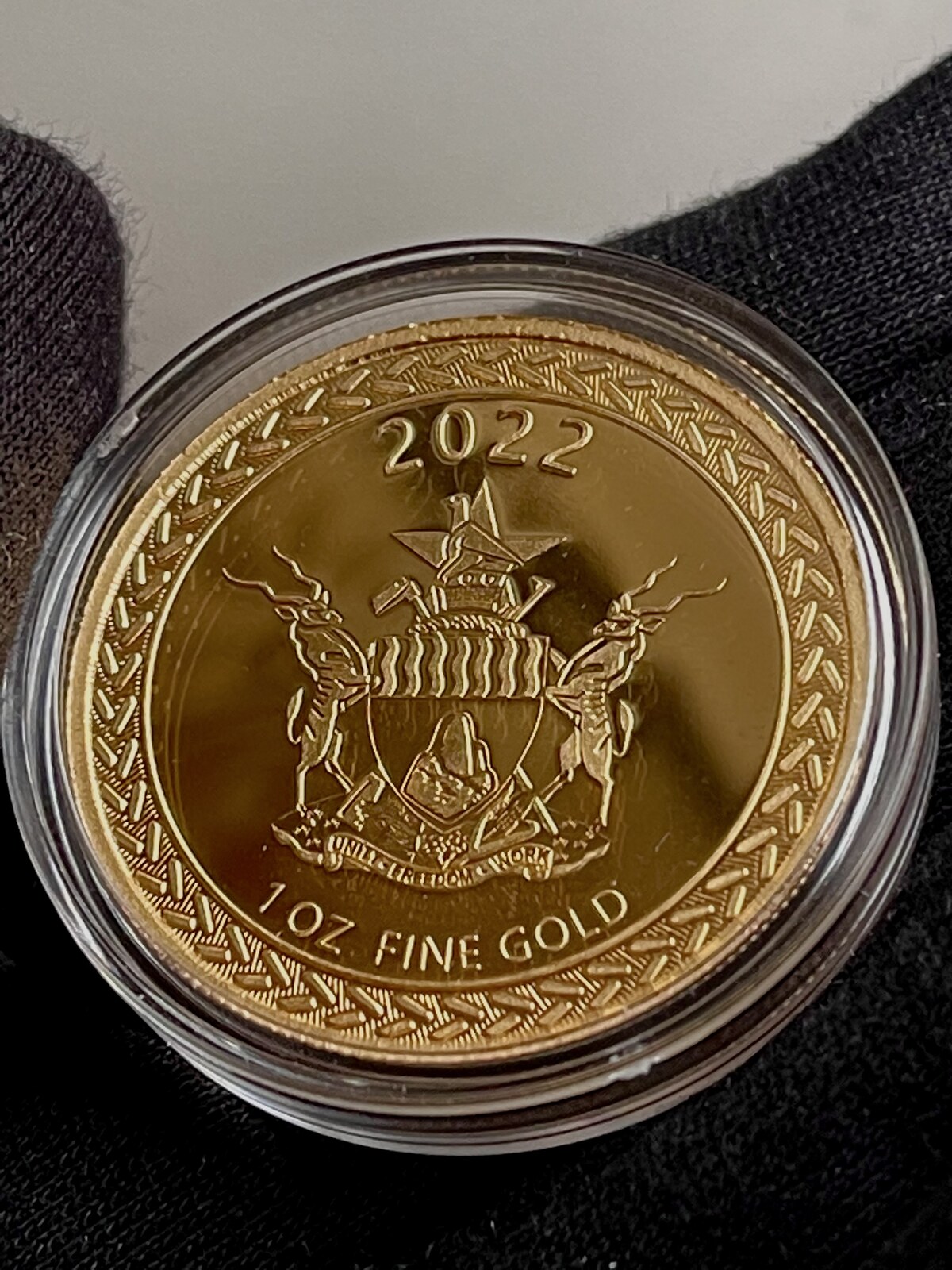2022 Simbabwe 1oz Gold Proof | MA-Shops