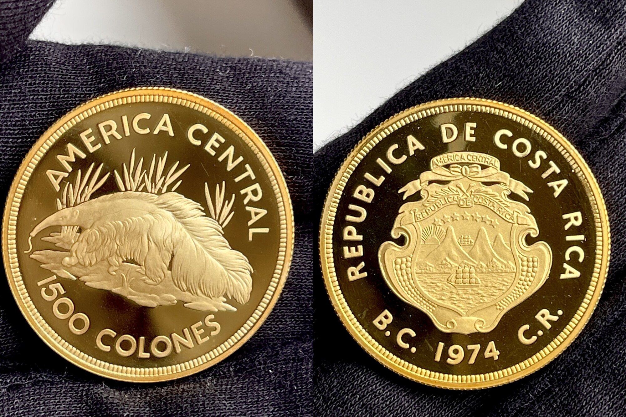 Costa Rica 1500 Colones 1974 Großer Ameisenbär Goldmünze Proof | MA-Shops