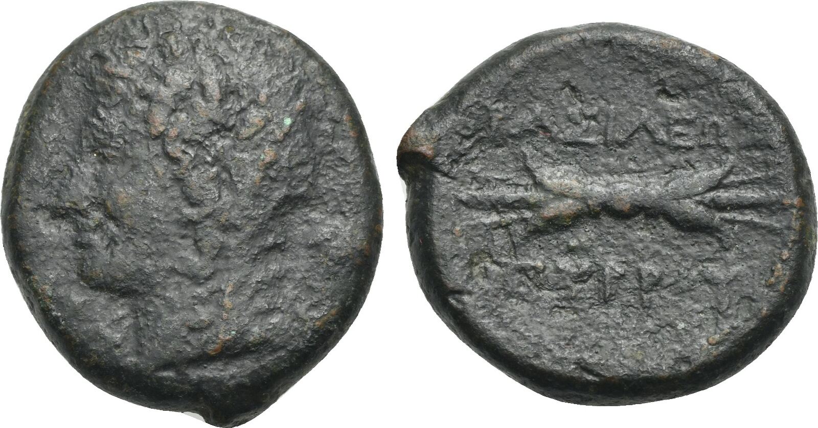 Sicily, Syracuse, Litra struck under Pyrrhos, 278-276 BC | MA-Shops