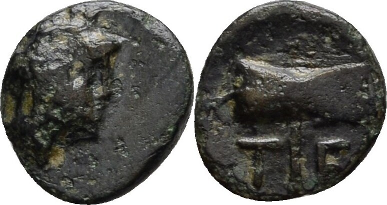 Troas Tenedos Bronze 350-250 ss | MA-Shops