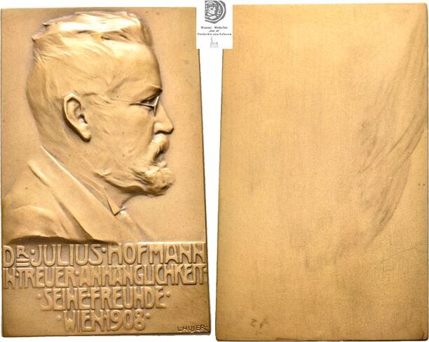 ÖSTERREICH AE-Plakette 1908 HOFMANN Mediziner Kunstsammler Politiker ...