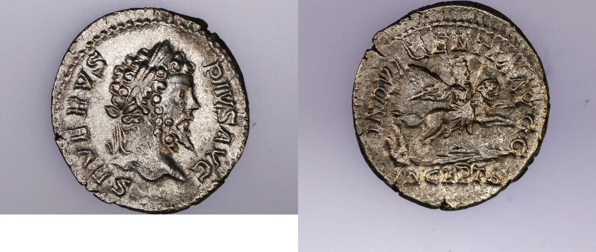 Roman Empire 202 - 210 AD. Septimus Severus AR Denarius - INDVLGENTIA ...