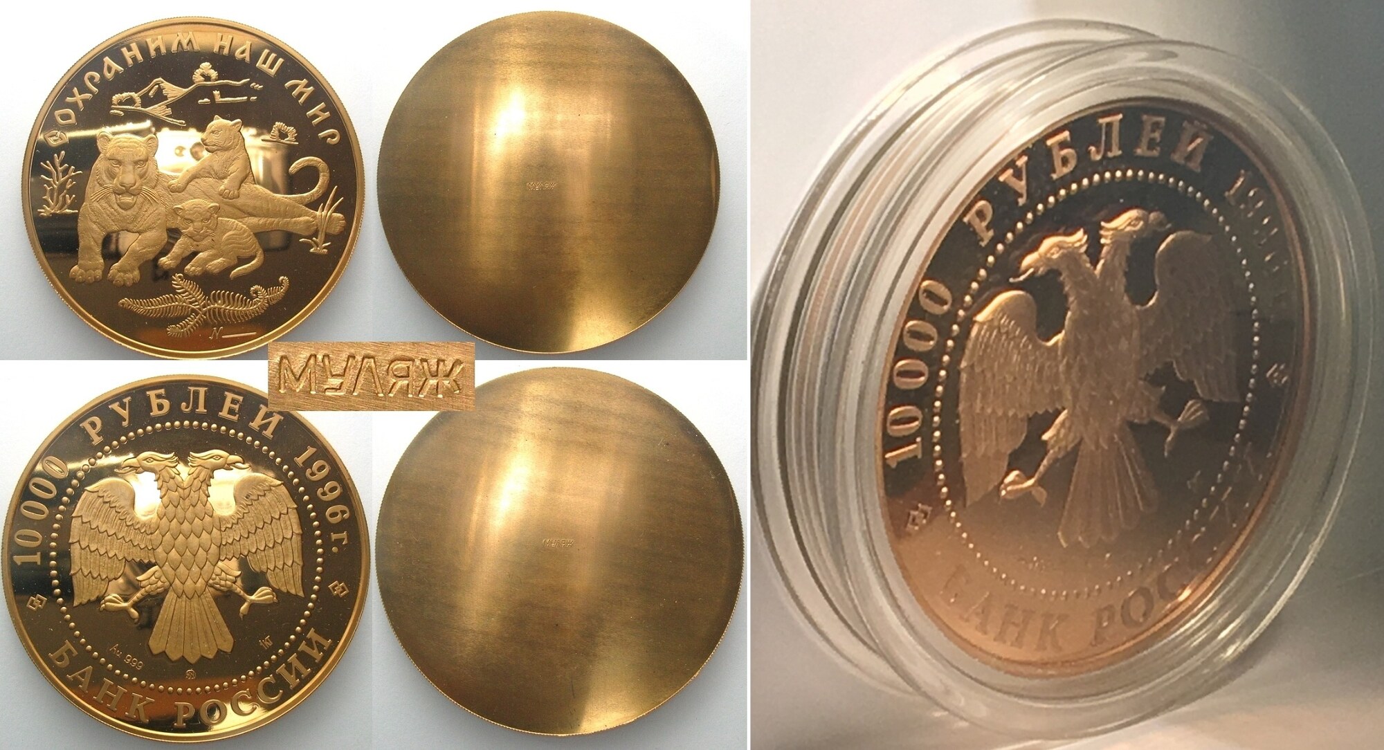 RUSSLAND - ABSCHLAG 10000 Rubel 1996 AMURTIGER - RRRRR! PP | MA-Shops