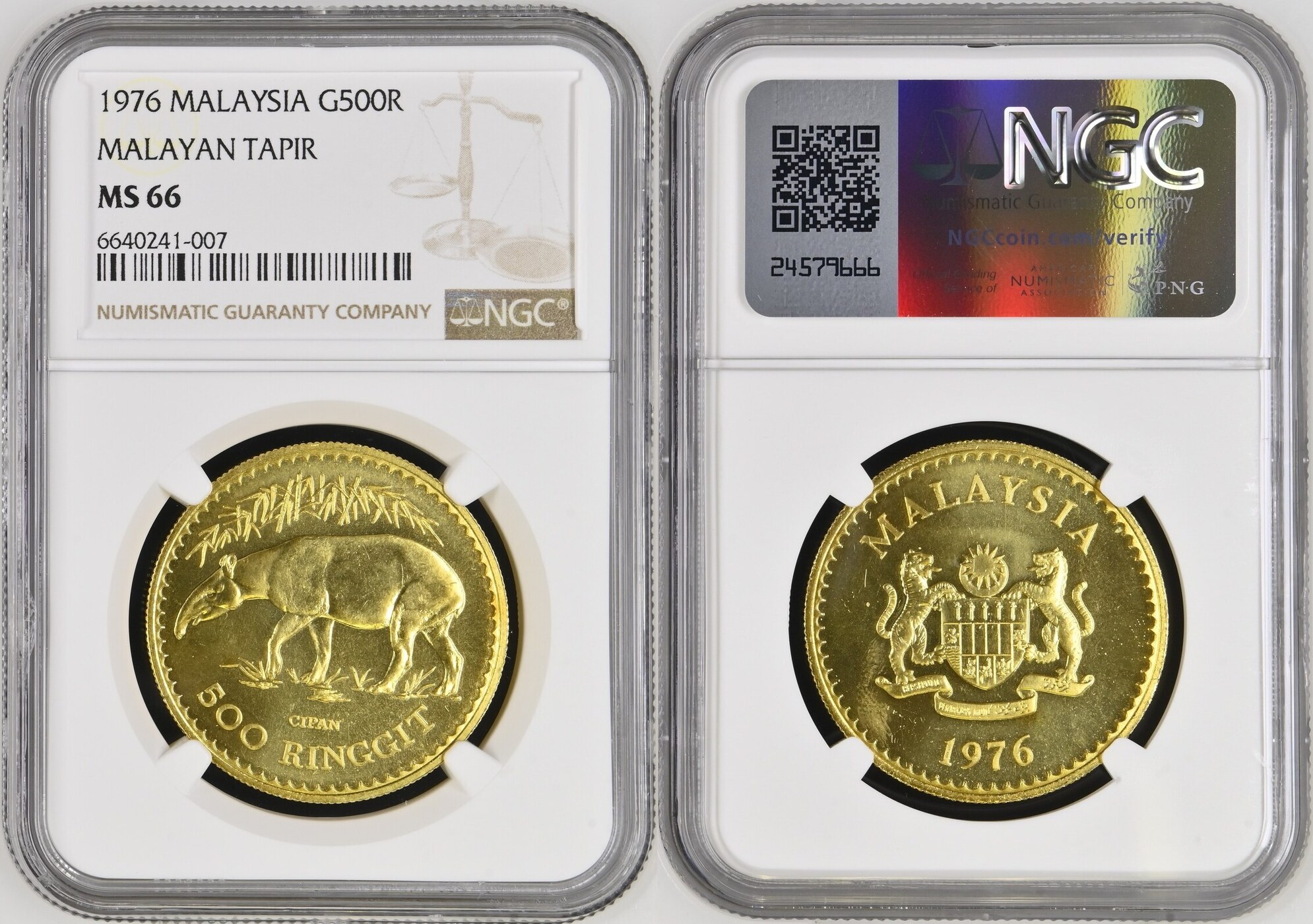MALAYSIA G500R 1976 Malayan Tapir 500 Ringgit Gold coin, Conservation ...