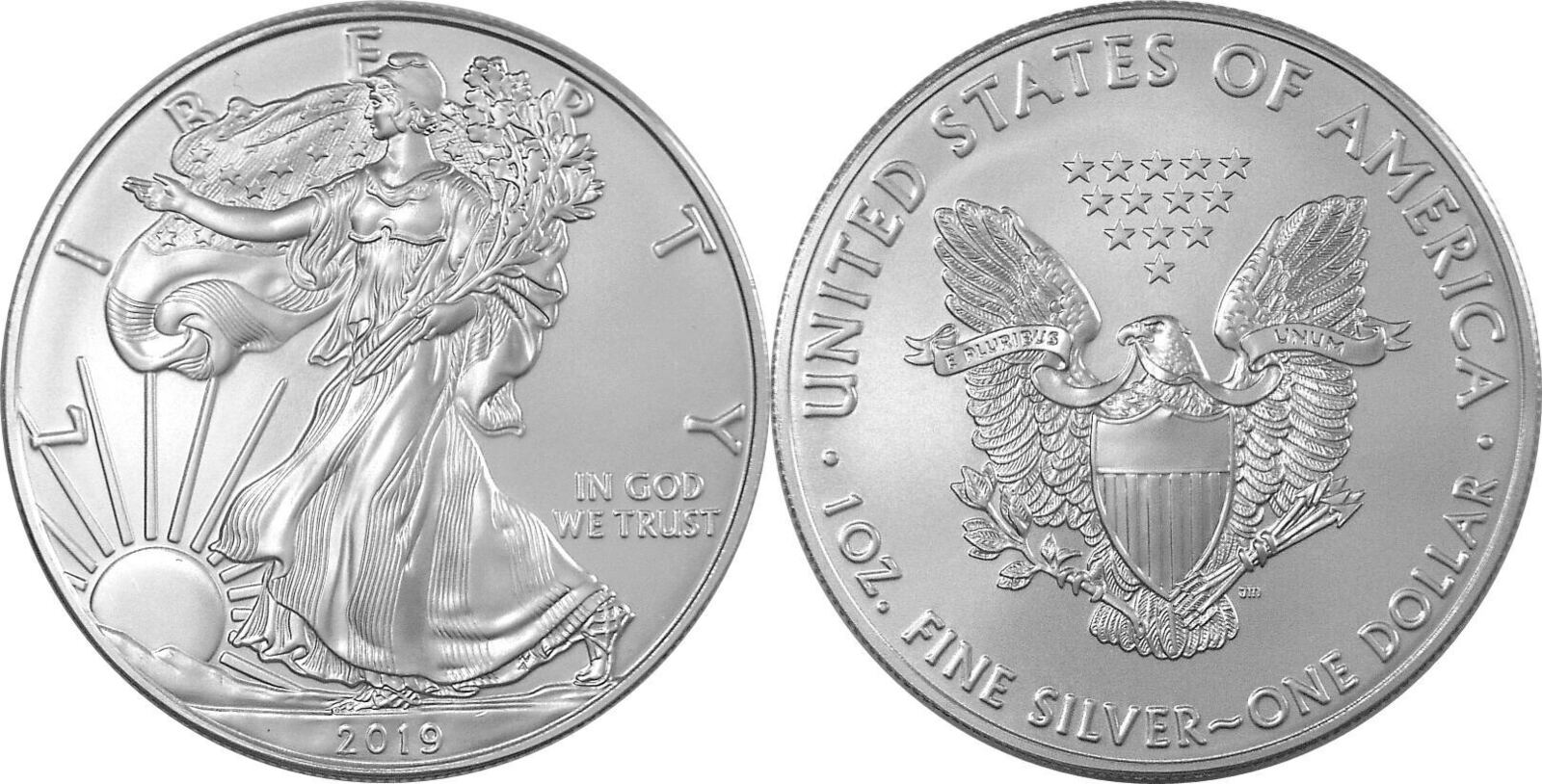Amerika, Vereinigte Staaten, USA 1 Dollar 2019 1 oz American Eagle ST ...