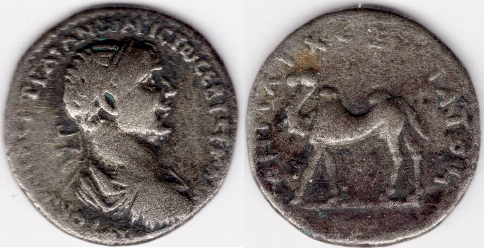 ROMAN EMPIRE 112-113 ancient Roman silver drachm with camel Trajan, 98 ...